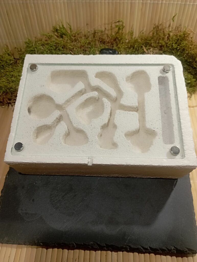 Nid horizontal « Askéla » – Planète Fourmis